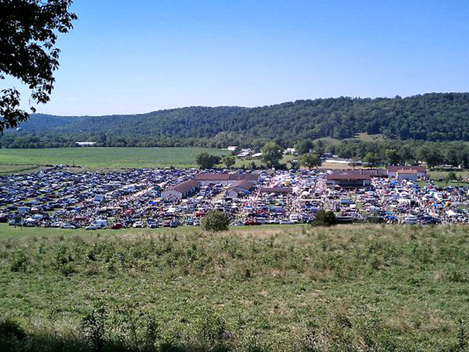 Shoppers navigate White's Farm Market hunting grounds where canopies of trees provide shade for serious bargain business.