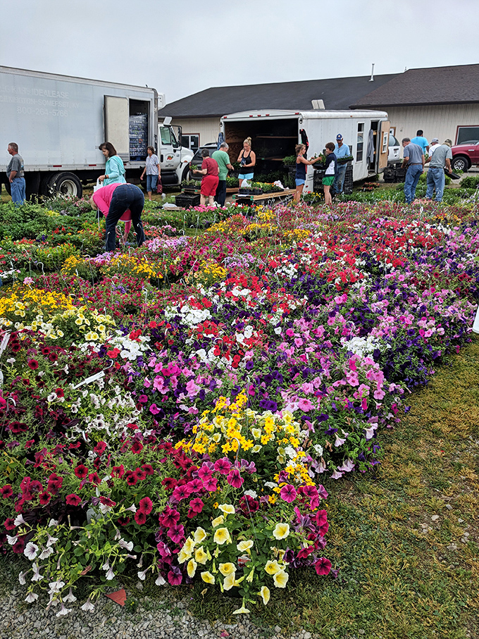 A floral explosion frames this market like Mother Nature herself is trying to lure you in to buy her vintage collection.