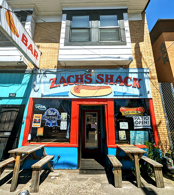 Zach's Shack: Those weathered picnic tables have hosted countless deep conversations about music, life, and whether The Stevie Wonder dog is better than The Bob Dylan.