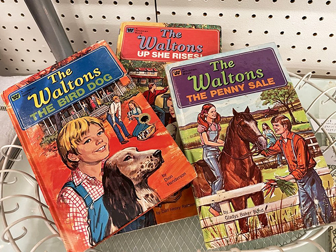 Waltons books that transport you back to Depression-era Americana faster than you can say "Goodnight, John-Boy."