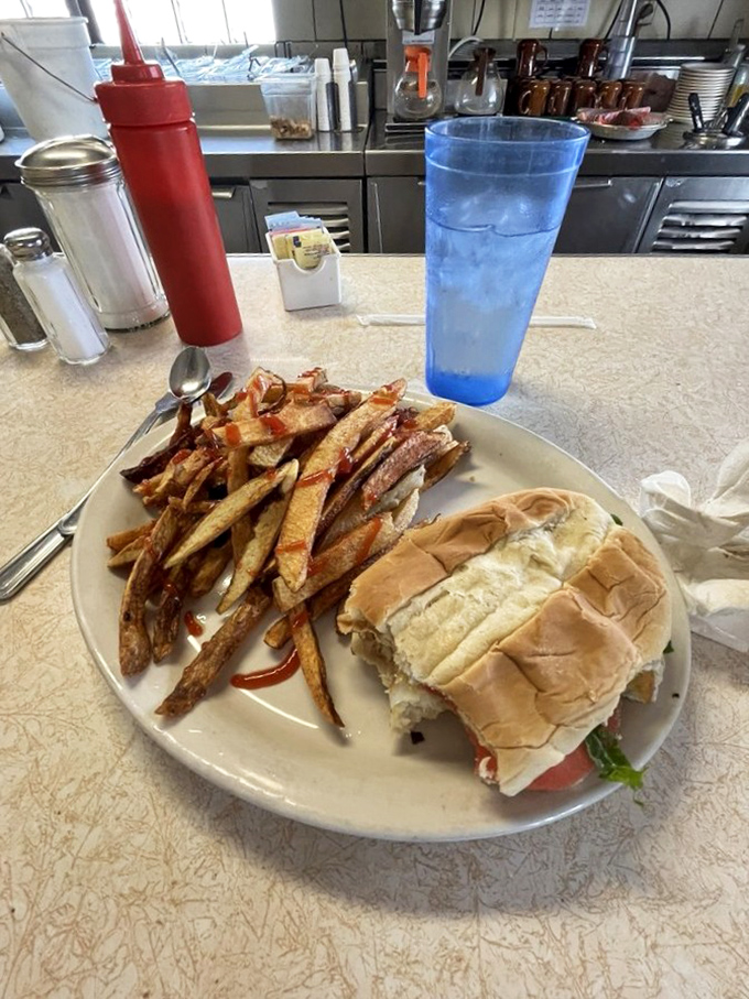 Simple pleasures done right: a sandwich that doesn't need fifteen ingredients to impress, just perfectly cooked fries and classic construction.