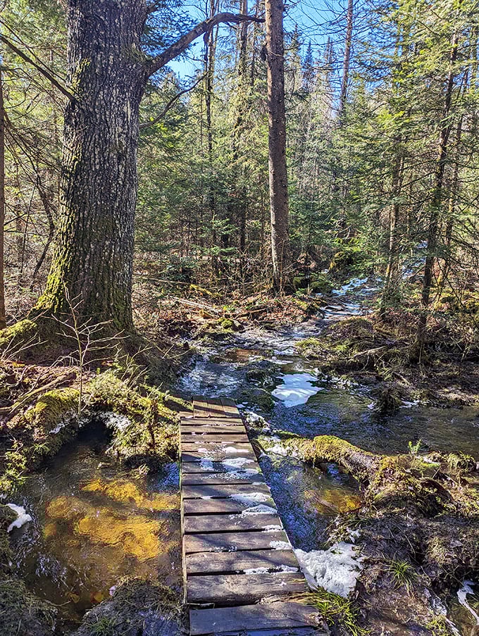 Nature's own wooden footbridge creates a perfect crossing point, where rushing spring waters remind you why poets wax lyrical about New England streams.