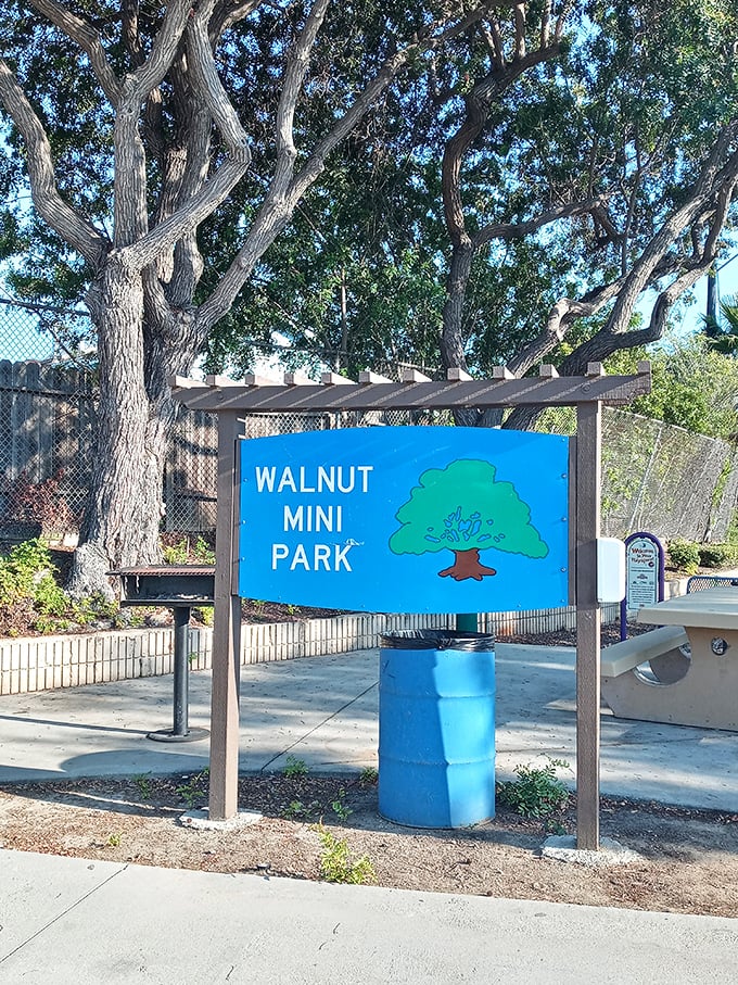Walnut Mini Park proves that "mini" doesn't mean forgettable &ndash; it's the kind of neighborhood spot where memories are made between grocery runs.