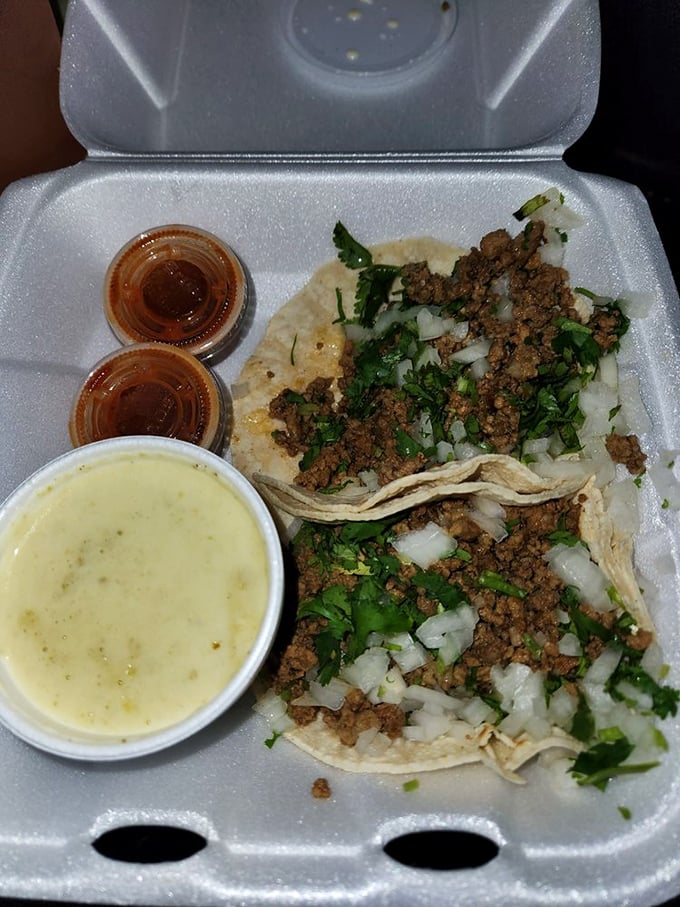 Traditional street tacos done right&mdash;simple corn tortillas cradling seasoned meat, onions, and cilantro. No unnecessary frills, just flavor.