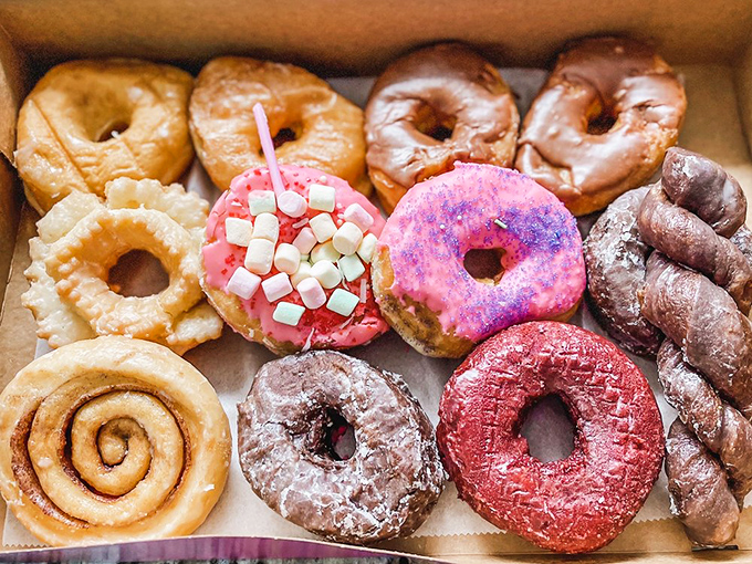 Donut diversity at its finest. From marshmallow-topped pink to classic glazed, it's the United Nations of breakfast pastries.