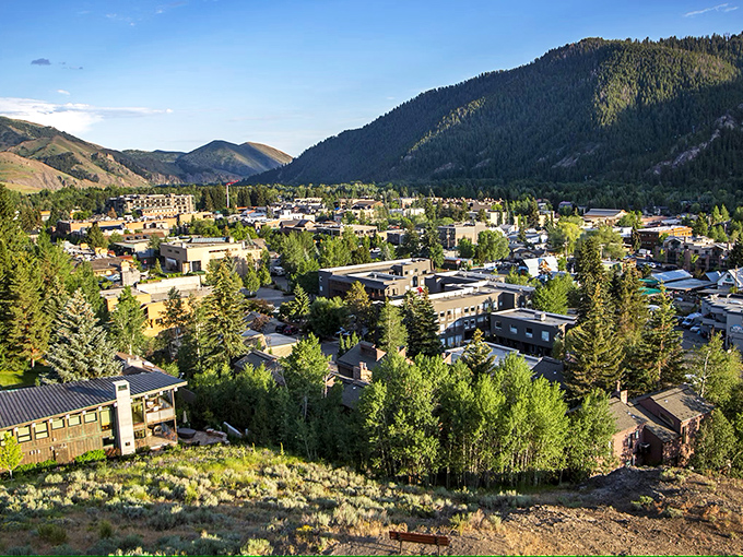 Autumn paints the riverside with a palette that would make Bob Ross weep with joy, nature's masterpiece on full display.