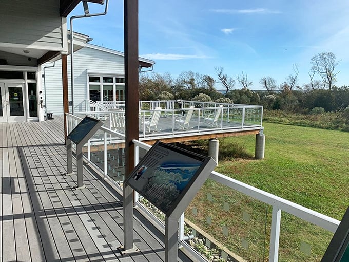 The Assateague Visitor Center's deck offers contemplative views of marshlands that somehow make checking your email seem like the ridiculous activity it truly is.