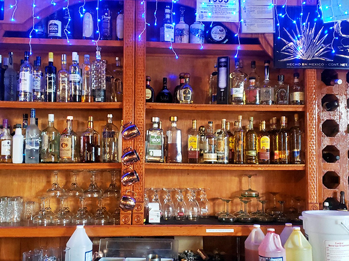 The bar at El Burrito Loco isn't messing around. This impressive tequila collection suggests they take their margaritas very seriously indeed.
