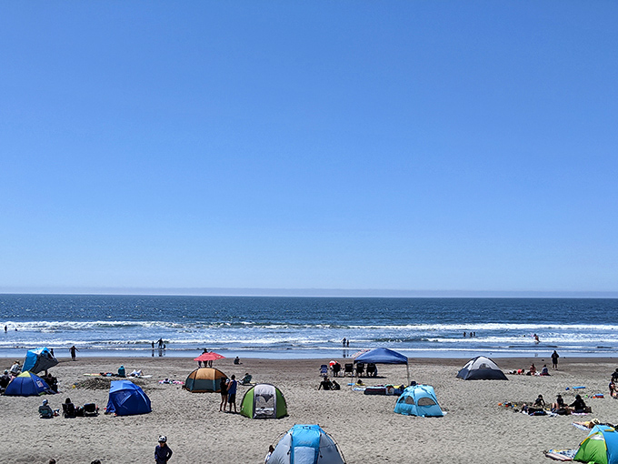 Stinson Beach stretches out below the mountain like nature's reward for hikers brave enough to make the descent. The Pacific never looked so inviting.