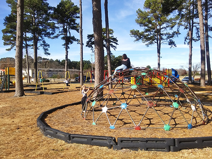 Kids conquering the dome climber at Berryhill Park—where childhood adventures happen without a single pixel or download required.