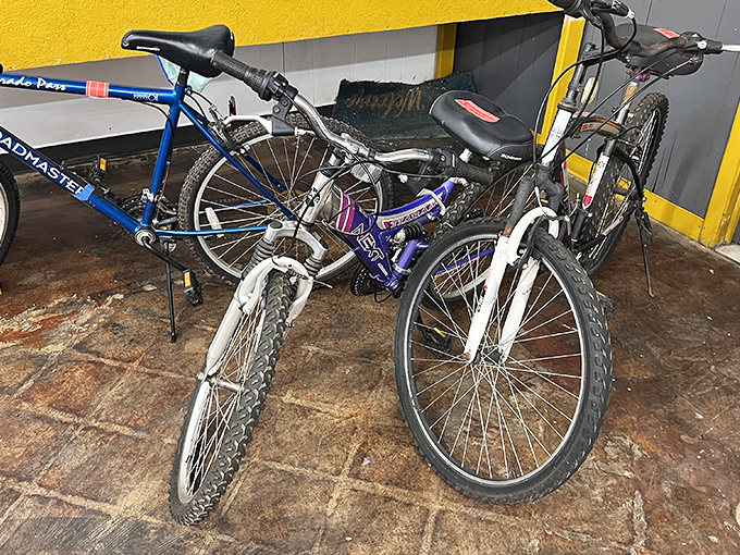 Transportation transformation station! These bikes represent the larger treasures occasionally unearthed at Rainbum, where one person's return becomes another's adventure vehicle.