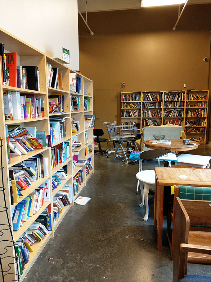Bibliophiles, rejoice! These shelves hold everything from dog-eared paperbacks to coffee table tomes waiting for their second chapter.