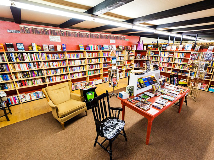 Bookworms, unite! This literary labyrinth is like a cozy library crossed with a treasure hunt, minus the stern librarian shushing you.
