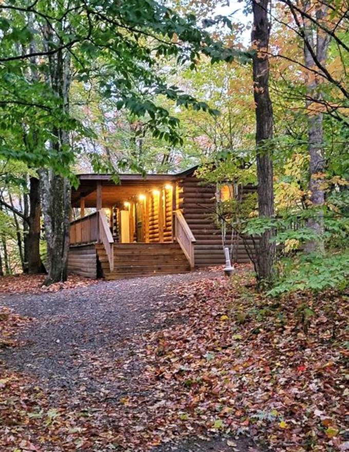 This cozy cabin nestled among autumn leaves isn't just accommodation &ndash; it's the cover of every "escape the rat race" fantasy.