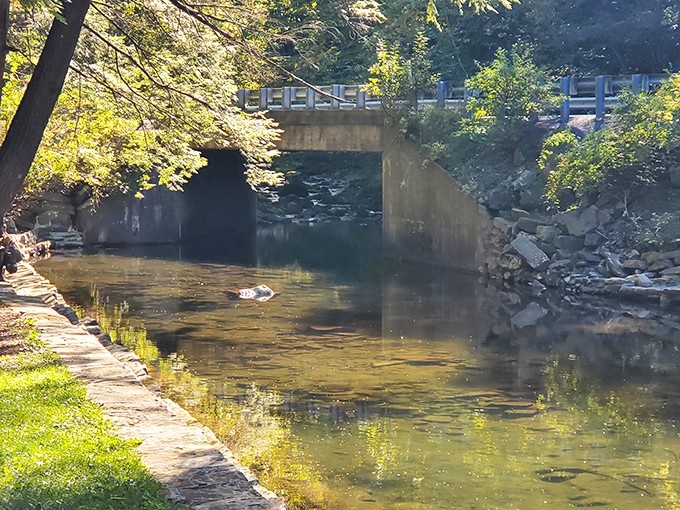 Where the water flows under a man-made bridge but follows a path carved by time itself. Engineering meets eternity.