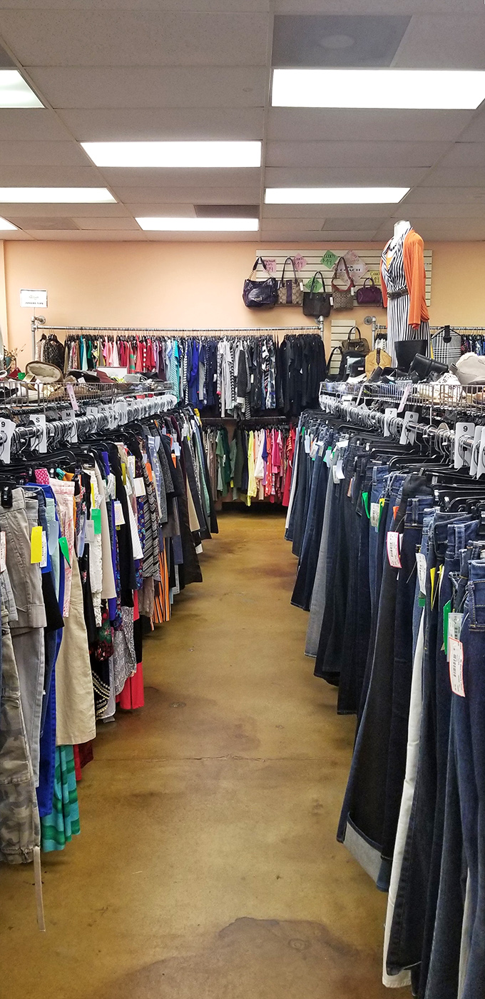 Not just clothes—an entire lifestyle section awaits. That scarf might have attended more interesting parties than you have.