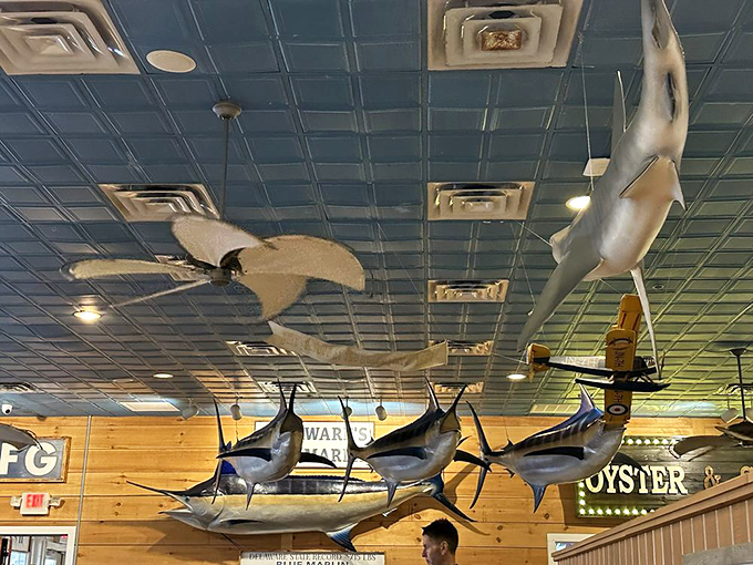 Look up and you're swimming with the fishes—in the best possible way. These ceiling-mounted marlins add authentic maritime charm to every meal.