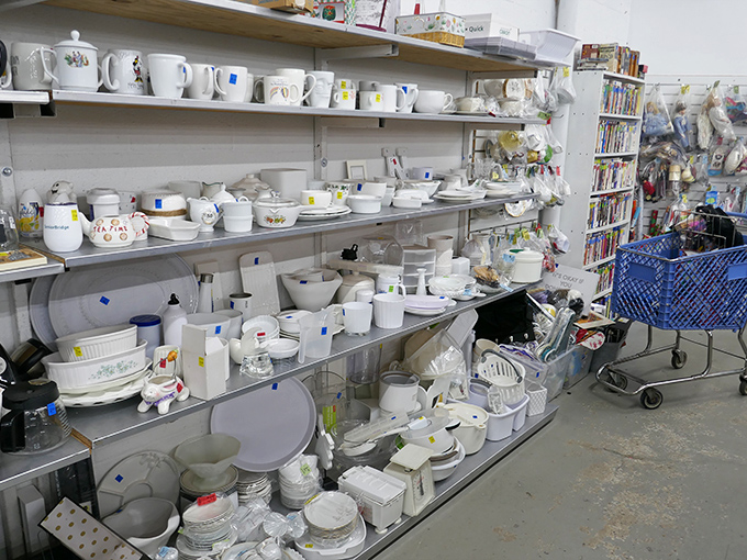 The mug section alone could stock every office break room in Boston. Porcelain personalities waiting to become someone's favorite morning companion.