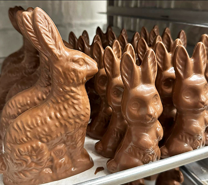 Chocolate bunnies standing at attention, their ears intact and dignified, unlike their mass-produced cousins who rarely survive shipping.