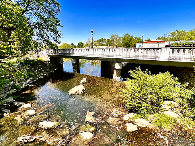 This isn't just any bridge &ndash; it's a perfect perch for contemplating life's big questions or, more importantly, where to have lunch after your morning walk.
