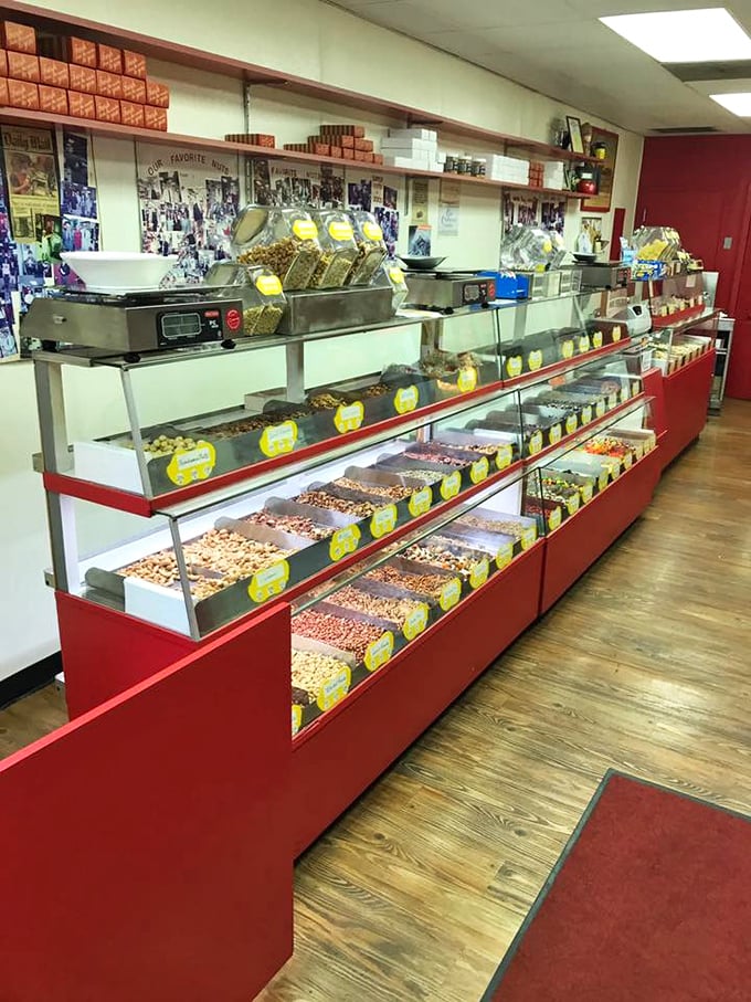 The candy counter stretches like a sweet horizon, with each bin promising a different journey for your taste buds.