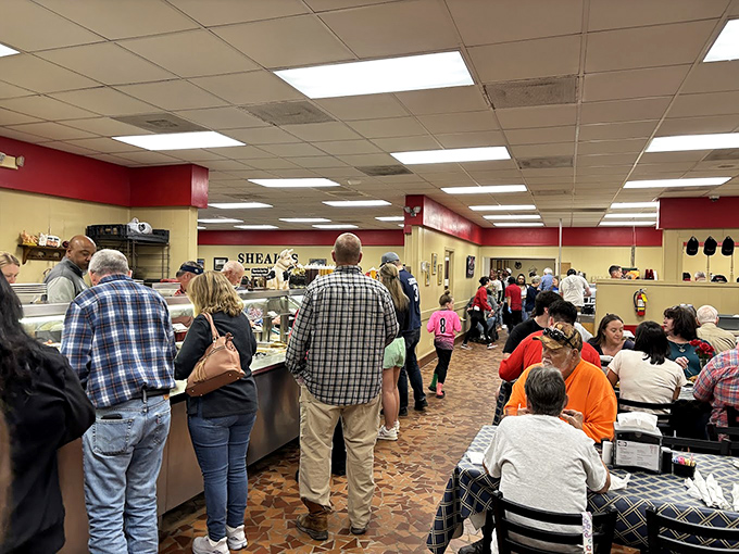 The lunch rush at Shealy's is democracy in action. Farmers, office workers, and road-trippers all united by the universal language of great barbecue.