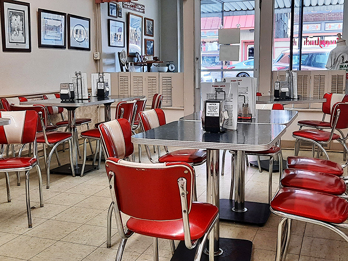 Classic diner aesthetics aren't manufactured here - those cherry-red chairs have supported generations of satisfied customers.