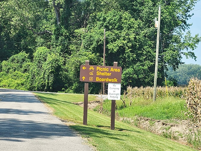Clear signage makes exploring effortless, pointing the way to picnic areas and that boardwalk where your phone will mysteriously fill with tree photos.