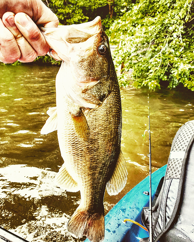 That moment when you realize your dinner selfie will feature you and an actual fish, not just a fancy plate at a trendy restaurant.