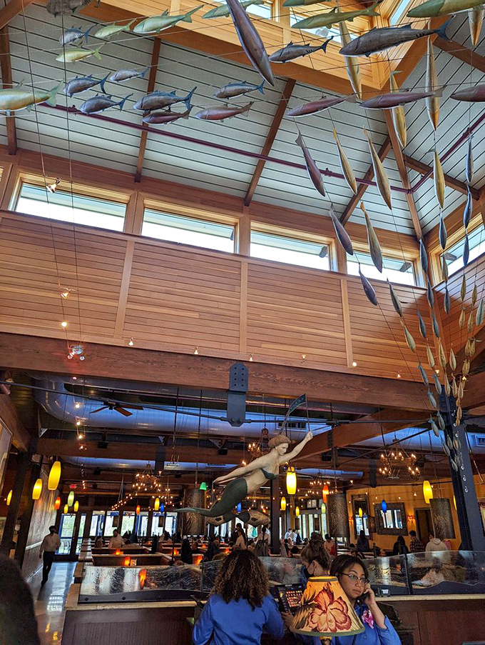 Look up and you'll spot schools of fish suspended from the ceiling, swimming through air ducts and light fixtures with nautical nonchalance.