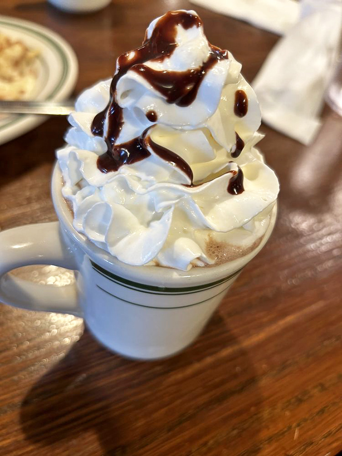 Hot chocolate elevated to an art form with a mountain of whipped cream and chocolate drizzle. Marshmallows are so last century.