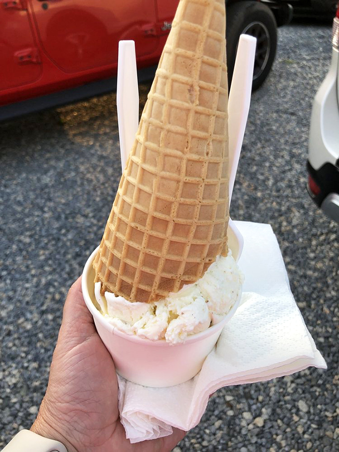 The perfect finale to a waterfront feast: creamy ice cream in a classic waffle cone, best enjoyed while watching boats drift by.