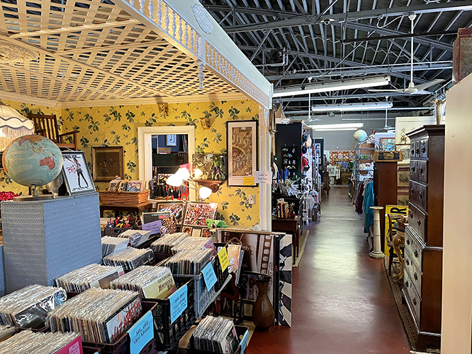 Behind that vibrant yellow wallpaper lies a mini record store where vinyl enthusiasts can hunt for that elusive album that defined their youth.