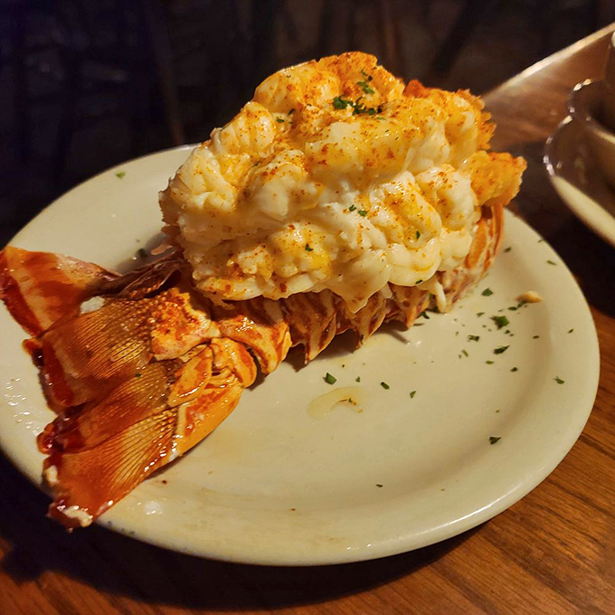 This lobster tail isn't just seafood&mdash;it's a butter-kissed celebration perched majestically on its shell throne.