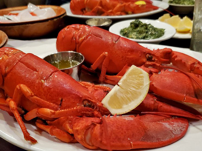 Two crimson crustaceans ready for their close-up. If lobsters knew they could look this good on a plate, they'd be less resistant to being caught.