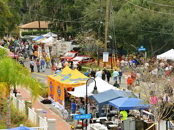 The annual Crystal River festival brings locals and visitors together. Nothing says "authentic Florida" like open-air markets and live music under impossibly blue skies.