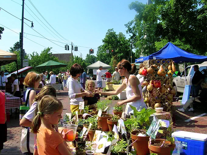 Nature doesn't just surround Granville&mdash;it embraces it with limestone cliffs that look like they were designed by a particularly artistic geologist.