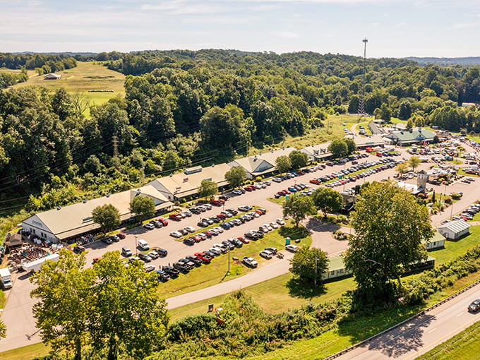 The local market buzzes with activity, where shopping isn't just an errand but a community gathering.