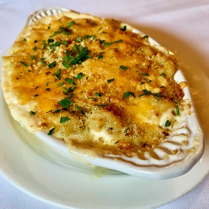 Mac and cheese elevated from childhood comfort to adult indulgence. That golden crust is nature's way of saying, "Dig here for happiness."