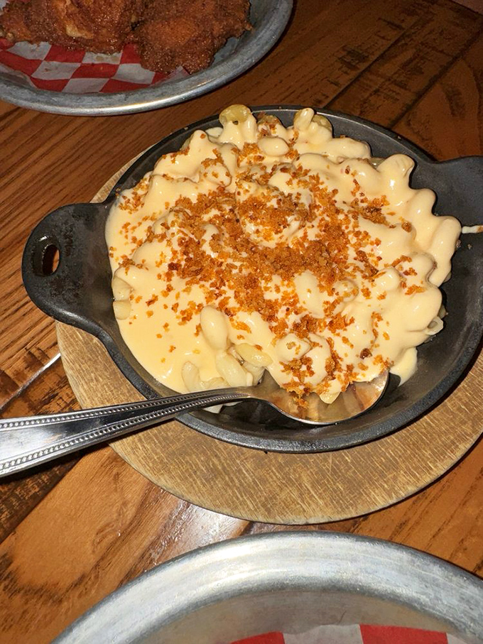 Mac and cheese that's dressed for a special occasion, with a crispy breadcrumb topping that adds the perfect textural contrast to creamy comfort below.