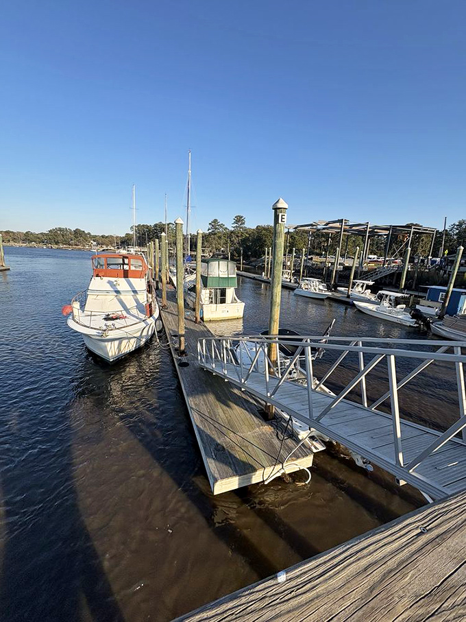 Where your dinner likely started its journey. This marina view reminds you that "fresh catch" isn't just marketing&mdash;it's a promise.