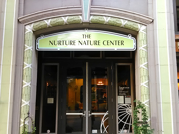 Colorful ribbons dance overhead in this artisanal shop, where every shelf holds treasures waiting to be discovered by curious visitors. 