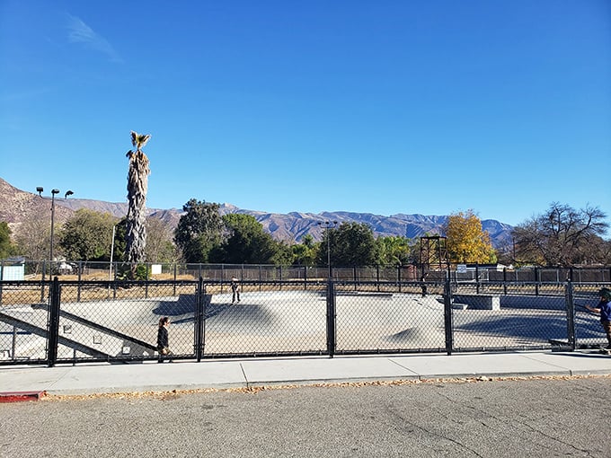 Even Ojai's skate park has mountain views—because in this town, even teenage rebellion comes with a side of natural splendor.