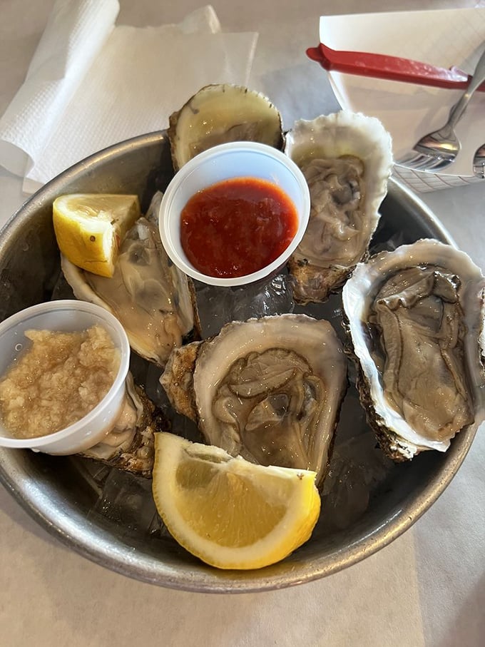 Fresh oysters presented like jewelry on ice. Nature's perfect little delicacies waiting for just a squeeze of lemon and a moment of appreciation.