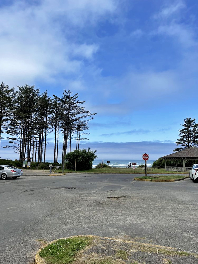 Beach, forest, and sky in one magnificent panorama. If Oregon were a sandwich, this would be the triple-decker that leaves you speechless.