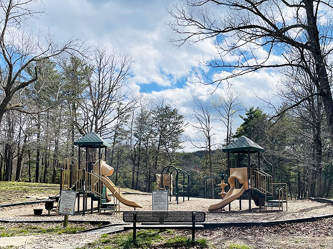 Even in the wilderness, kids need to burn energy. This playground offers the perfect compromise between screen time and scream time.