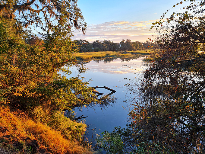 Golden hour transforms Beaufort's waterways into mirrors of amber perfection, reflecting centuries of natural beauty in a single, timeless moment.