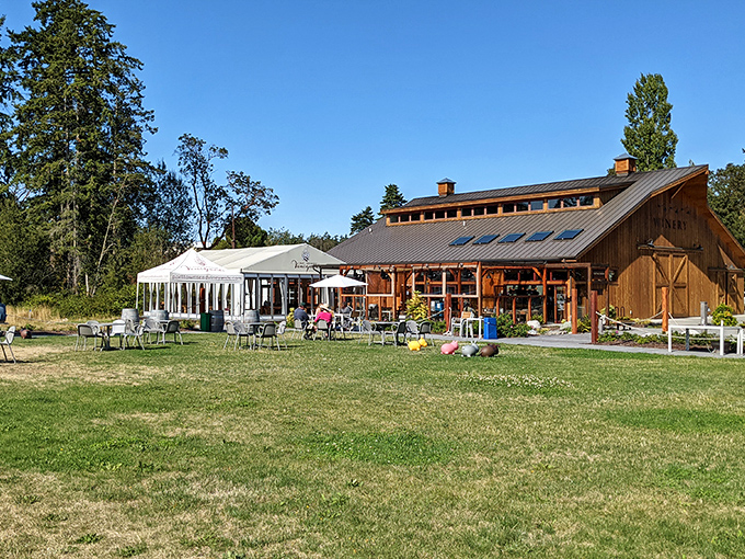 This aerial view reveals Port Townsend's perfect positioning&mdash;a Victorian jewel box nestled between mountains and sea, connected by wooden piers.