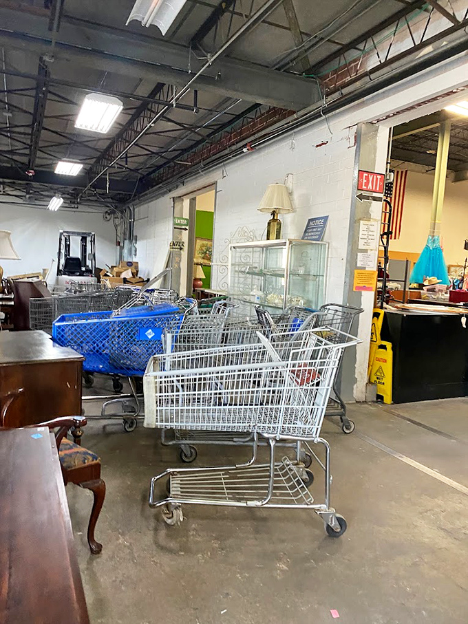 Shopping carts stand at attention, ready for thrift warriors to fill them with unexpected treasures and purposeful finds.
