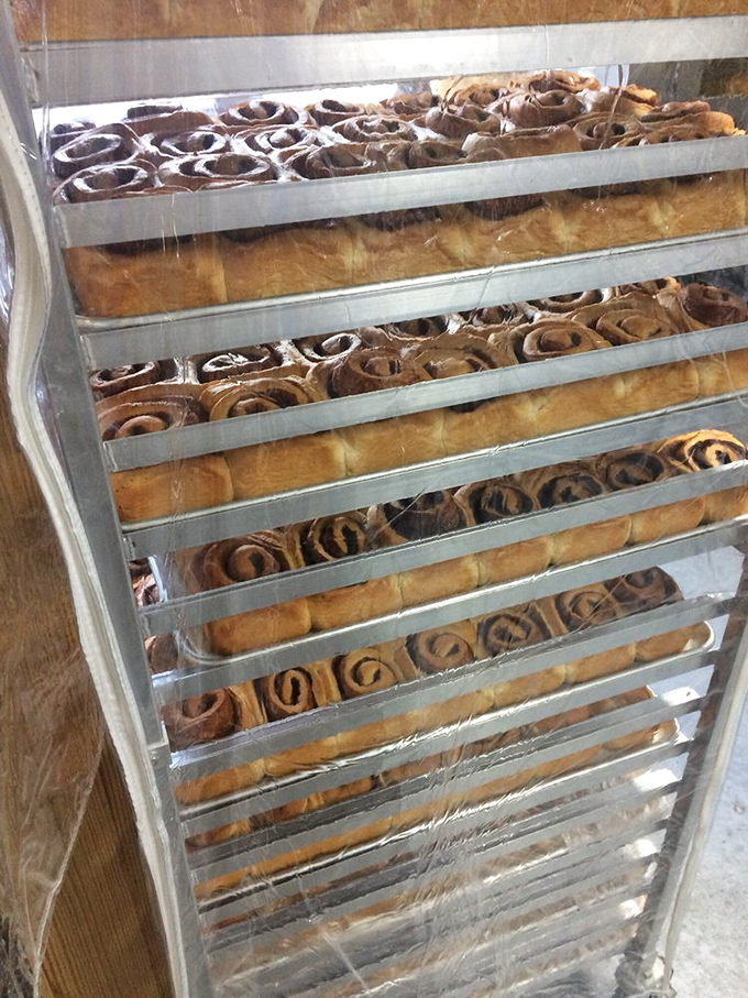 Cinnamon roll heaven exists, and it looks exactly like this rack of perfectly spaced spirals waiting for their moment in the spotlight.